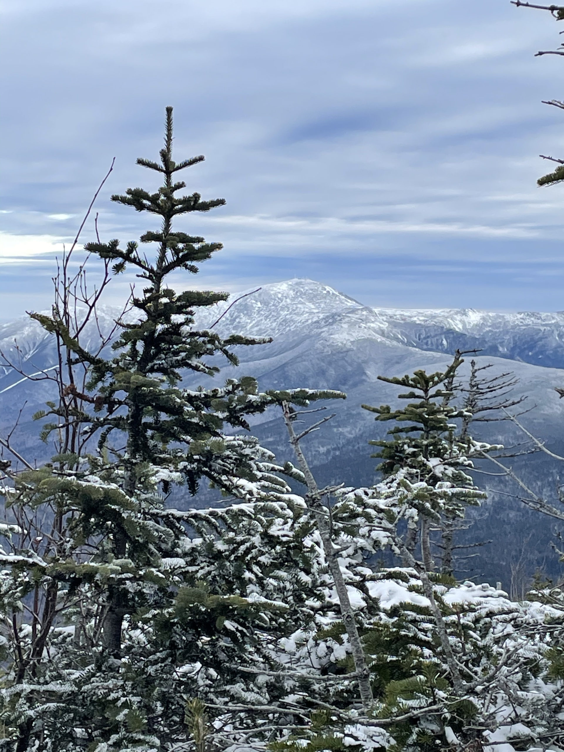 Mts. Field, Willey, Tom | 4340 ft | NH - She Hikes Mountains