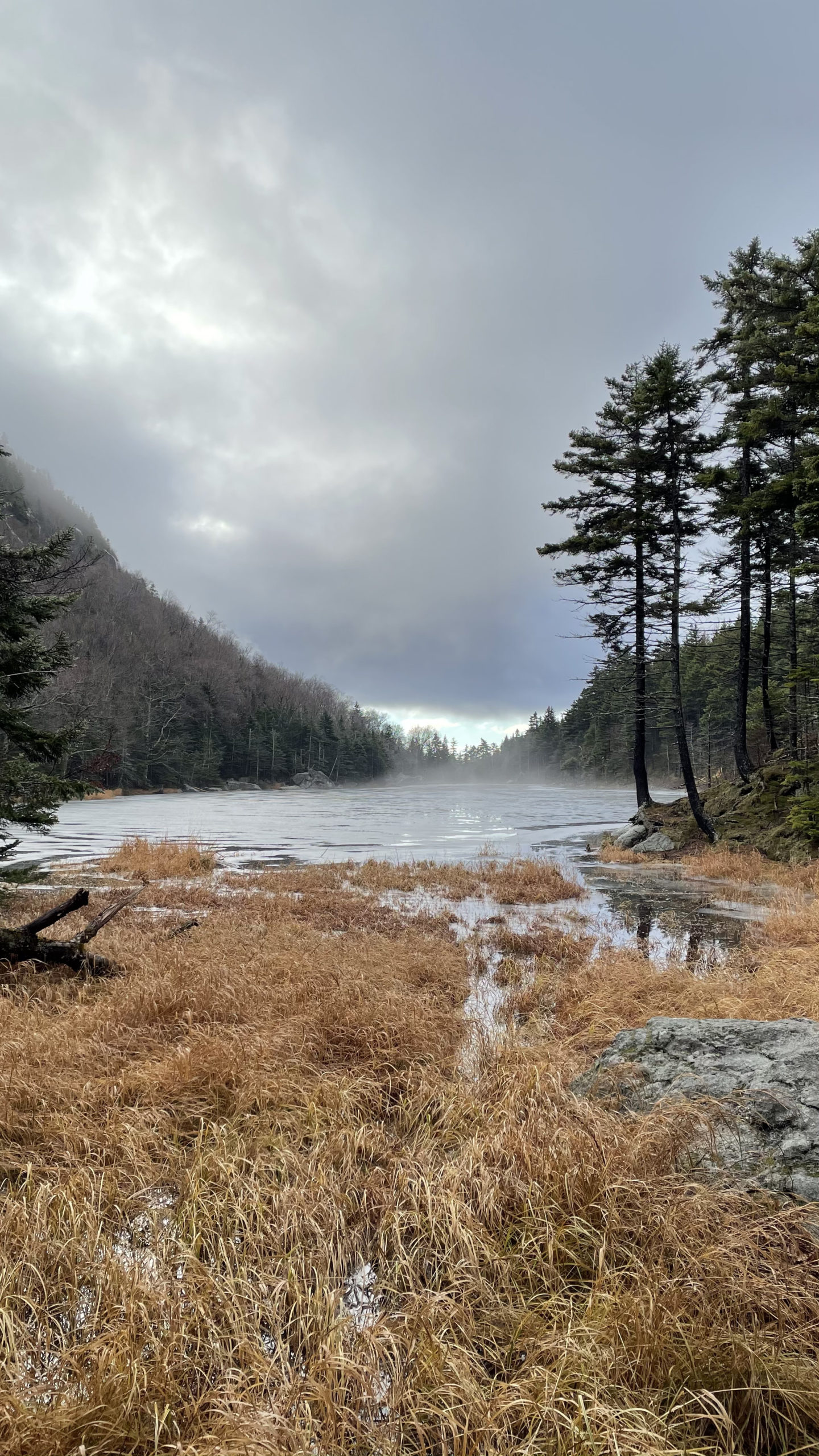 Wildcat Ridge | U-turn | NH - She Hikes Mountains