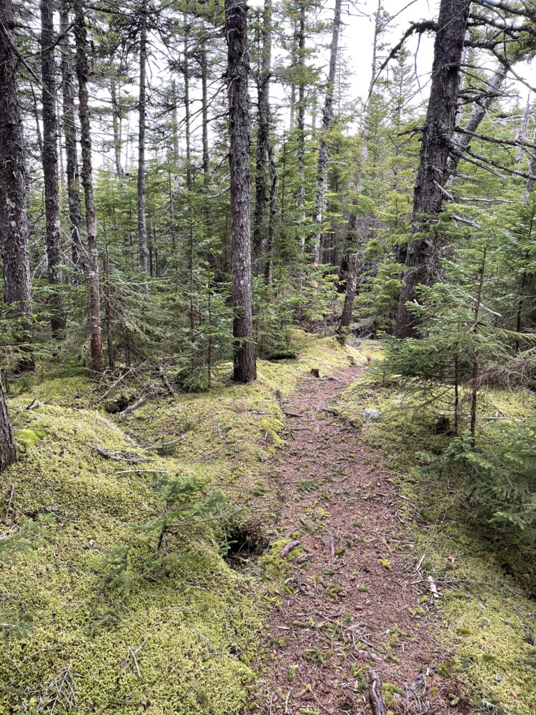 Grafton Notch Loop | 40 miles | ME - She Hikes Mountains