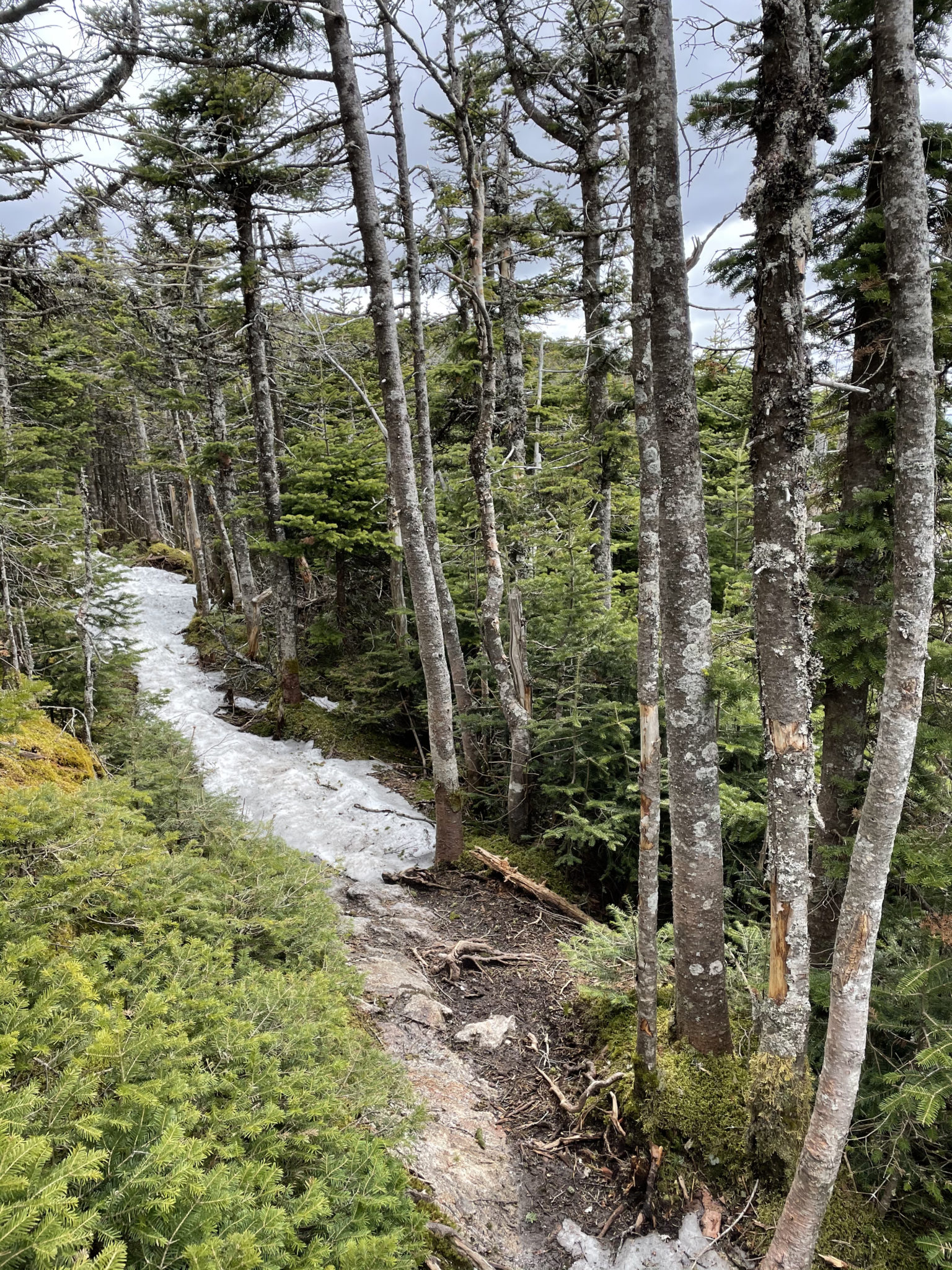 Grafton Notch Loop | 40 miles | ME - She Hikes Mountains