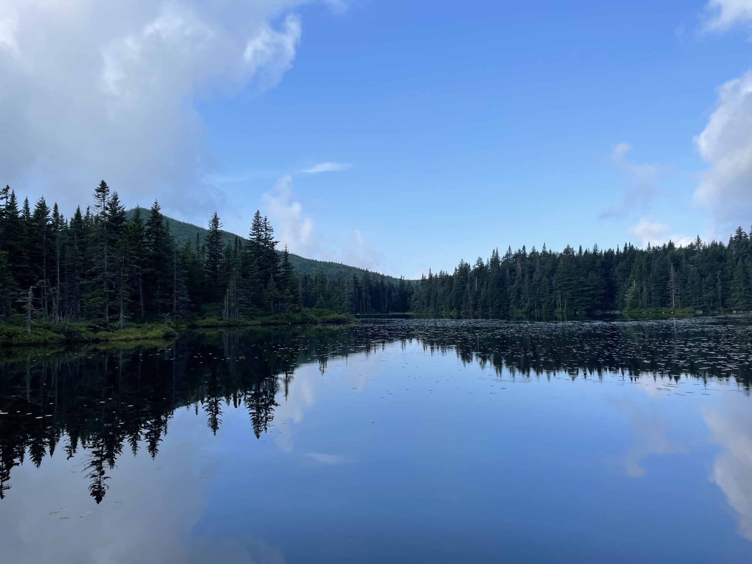 Mt. Waumbek & Mt. Cabot | 4170 ft | NH - She Hikes Mountains
