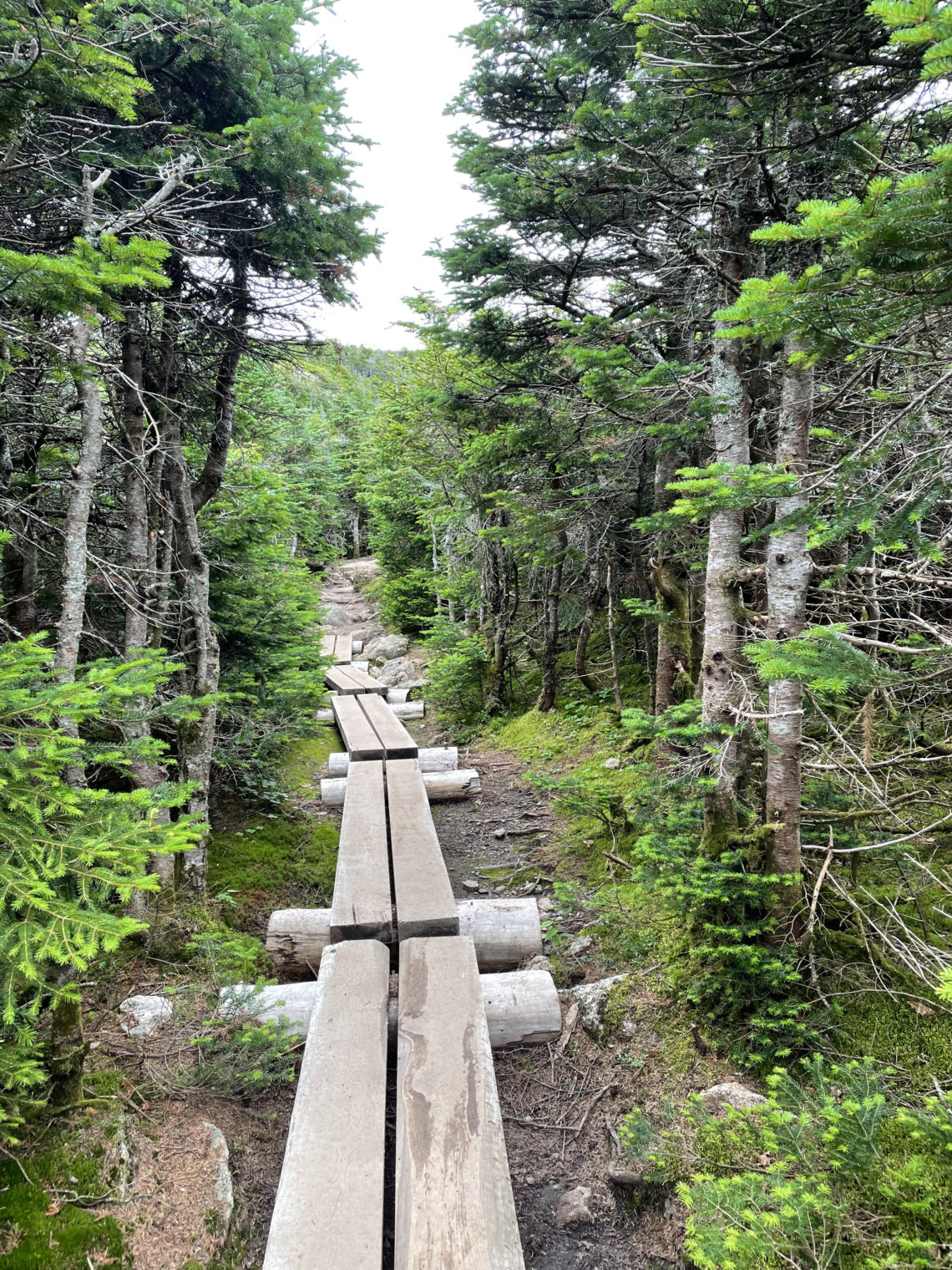 Mt. Pierce & Mt. Jackson | 4312 ft | NH - She Hikes Mountains