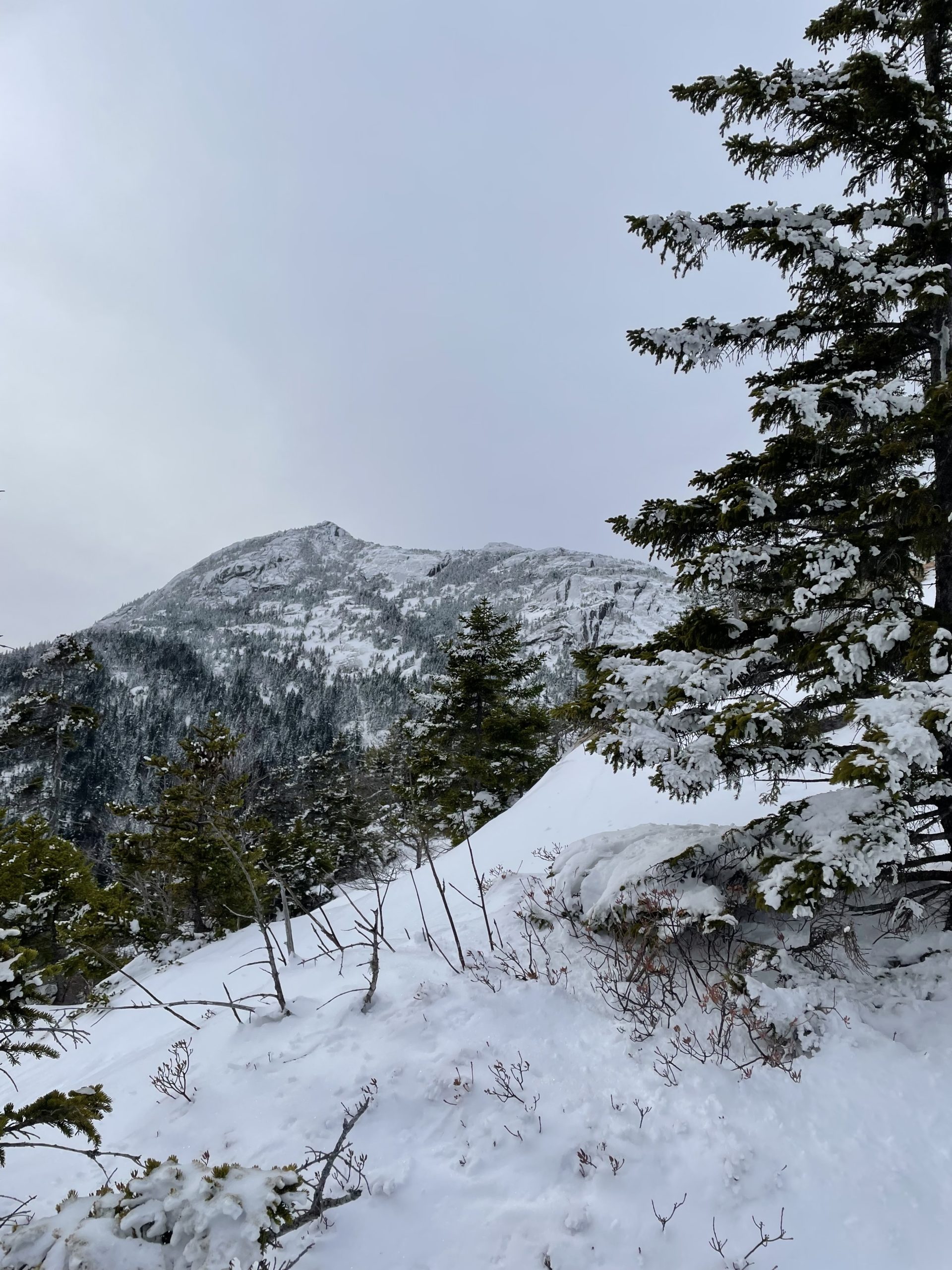 Mt. Chocorua | 3478 ft | NH - She Hikes Mountains