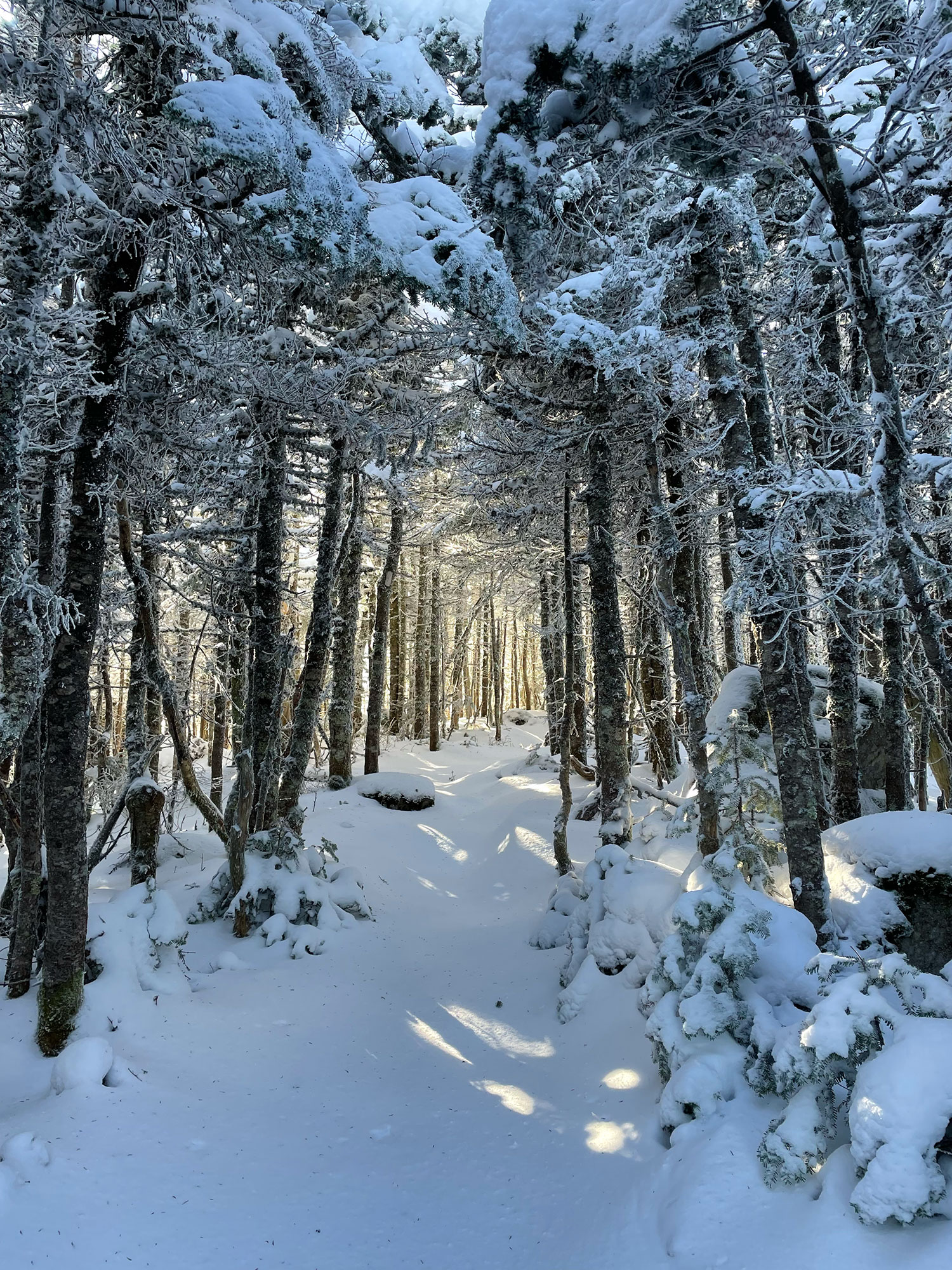 Guided Winter Hikes - She Hikes Mountains