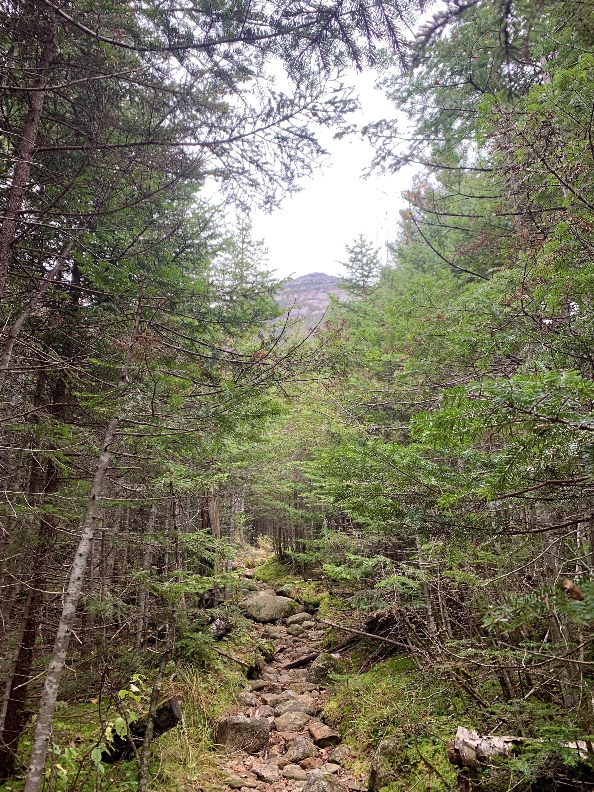 Doubletop Mtn | 3488 ft | ME - She Hikes Mountains