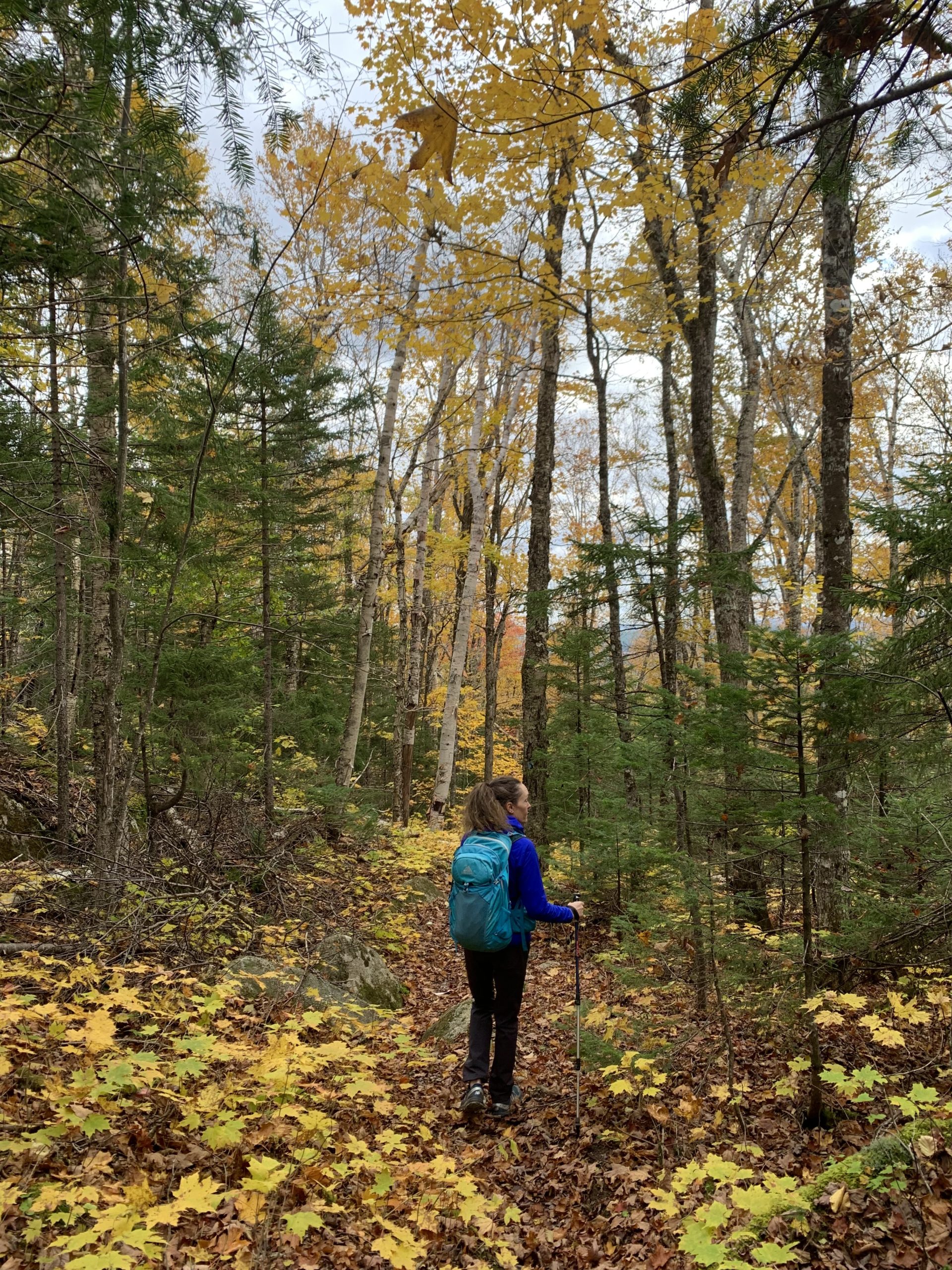 Doubletop Mtn | 3488 ft | ME - She Hikes Mountains