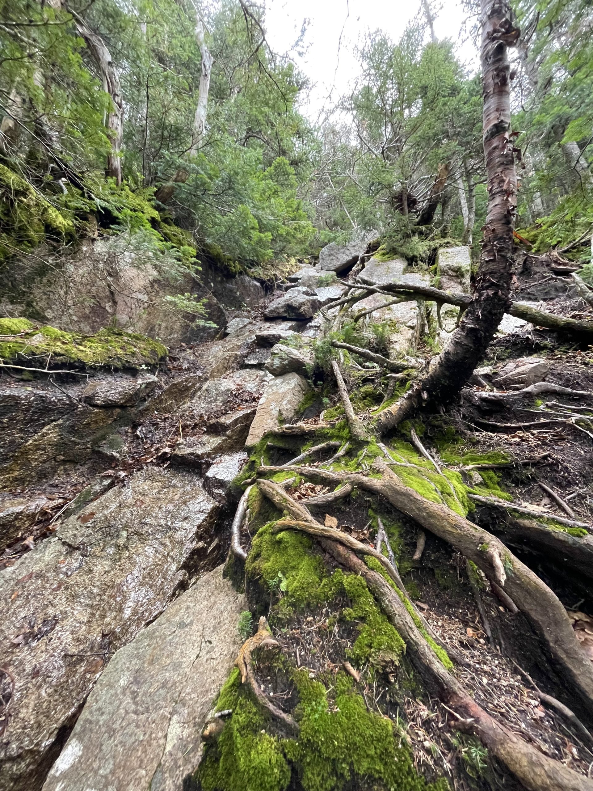 Doubletop Mtn | 3488 ft | ME - She Hikes Mountains